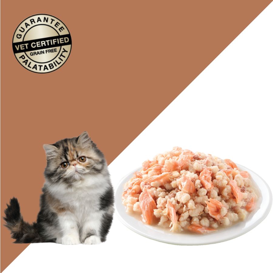 Maria Chicken with Salmon in Gravy thức ăn cao cấp cho mèo