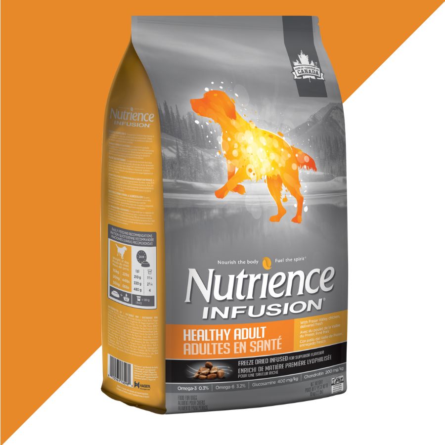Nutrience Infusion Healthy Adult thức ăn dinh dưỡng cho chó