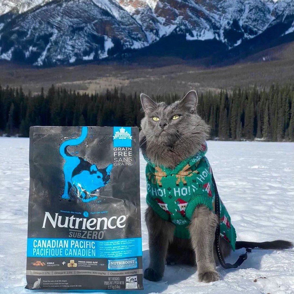 Nutrience Subzero Canadian Pacific thức ăn cao cấp cho mèo
